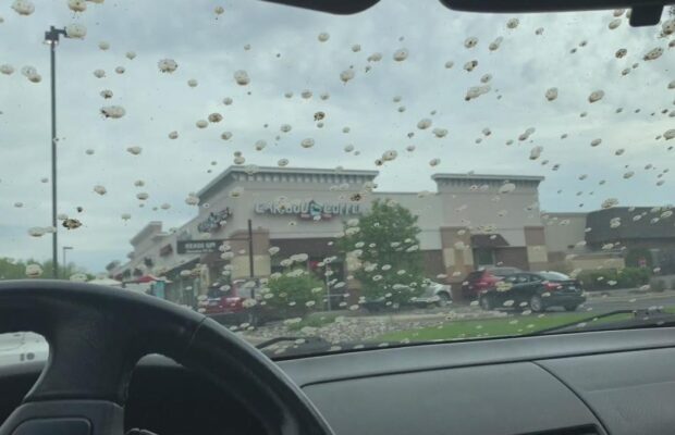 Mystery Poop Rains Down on Cars in Drive-Thru | KMIT 105.9 FM
